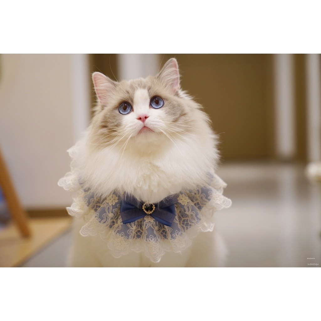 ️ ️HOT SALE ️ ️New Muppet Blue and White Cat Scarf Pet Dog Scarf Teddy ...