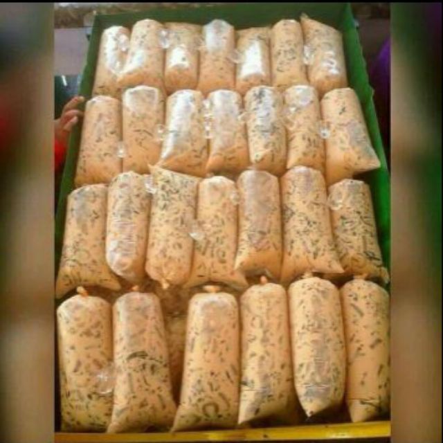 (400g or 1kg) Plastik Bungkus Air Buah Balang Pasar Malam Bazar Ramadan ...