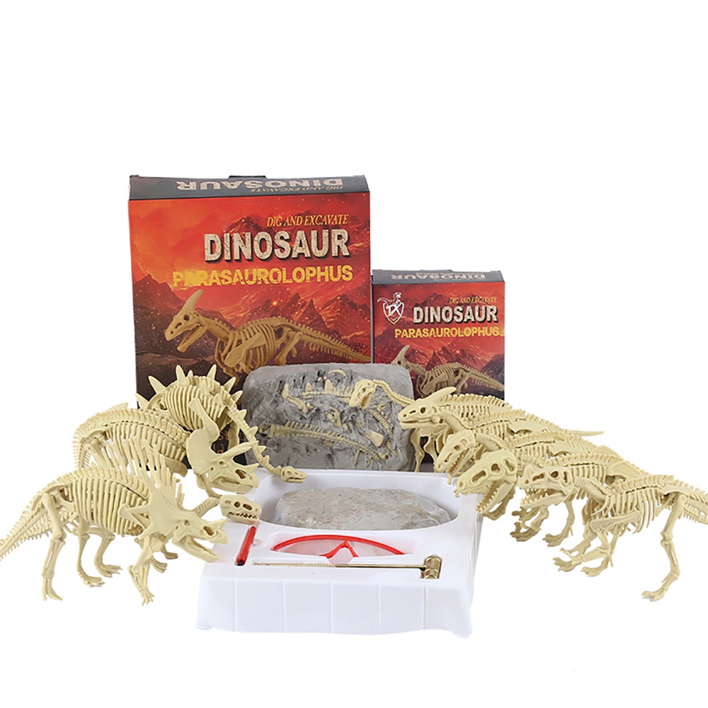 Dinosaur Skeleton Dig Kit For Kids Science Educational Game Fossil ...