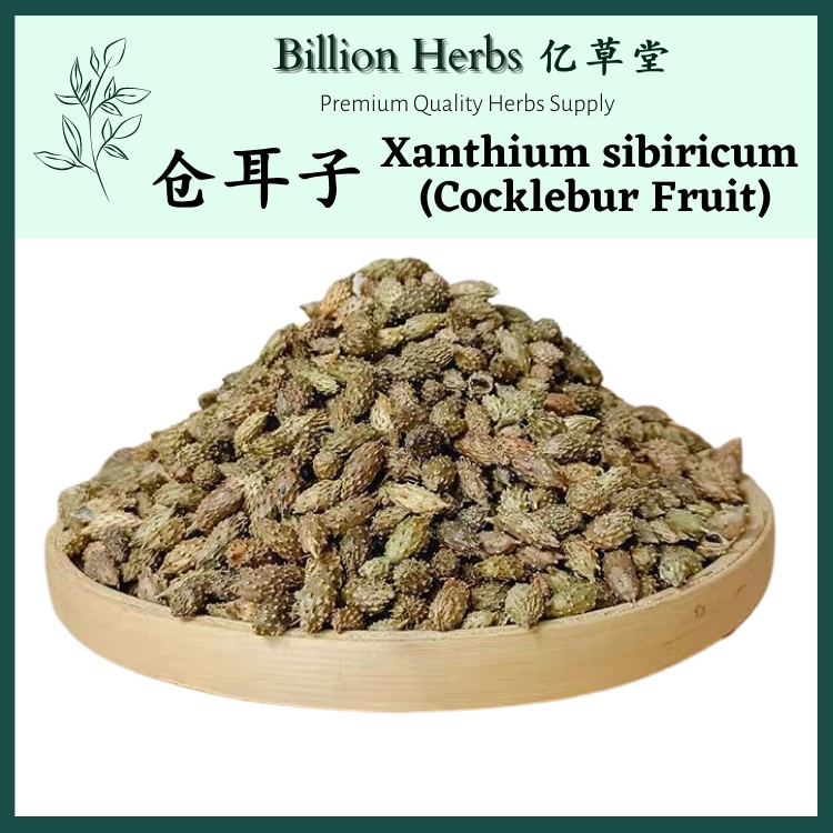 亿草堂 Billion Herbs 苍耳子 仓耳子 100g Fructus Xanthii (Cocklebur Fruit) / 中药材 ...