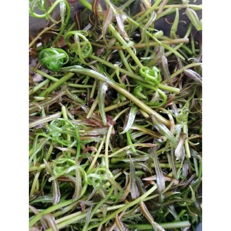 sayur Midin dari Sarawak | Shopee Malaysia