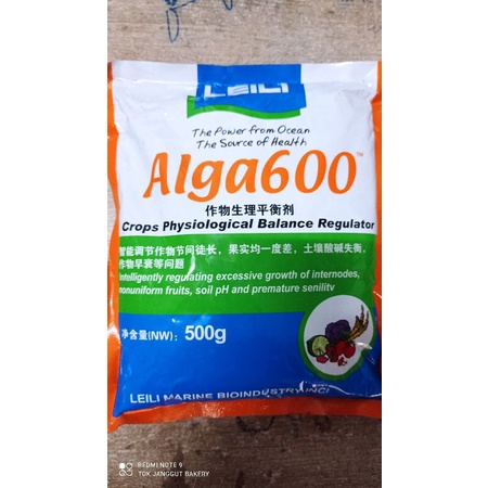 Alga 600 Repack Organic Seaweed Baja Organik Rumpai Laut | Shopee Malaysia