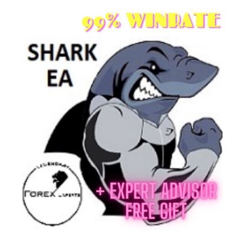 (REUPLOAD) EA SHARK 2023 MT4💥🔥🔥 | Shopee Malaysia