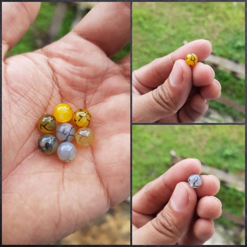 *Batu Geliga Ikan Kaloi* | Shopee Malaysia