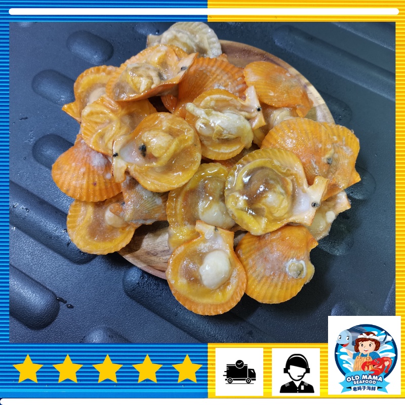 Premium Half Shell Golden Scallop / Scallop Emas / 半壳黄金贝 (1kg/pk) - Old ...