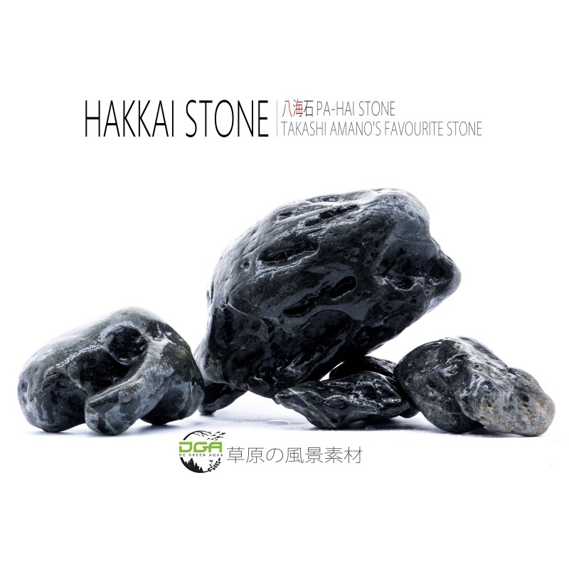 Aquascape JAPAN Hakkai Stone Amano stone(水草造景八海石） | Shopee Malaysia
