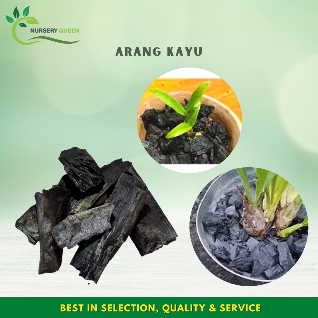 Arang Kayu Size For Orkid 1 KG | Shopee Malaysia