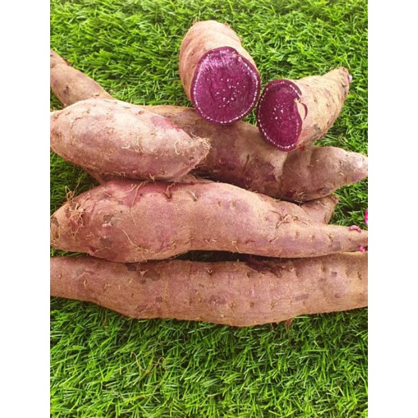 ubi isi ungu.. 1kg Rm10.50 | Shopee Malaysia