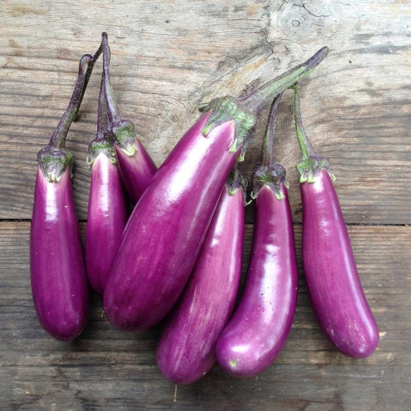 TERUNG MUTIARA /PEARL BRINJAL (+/-650g) | Shopee Malaysia