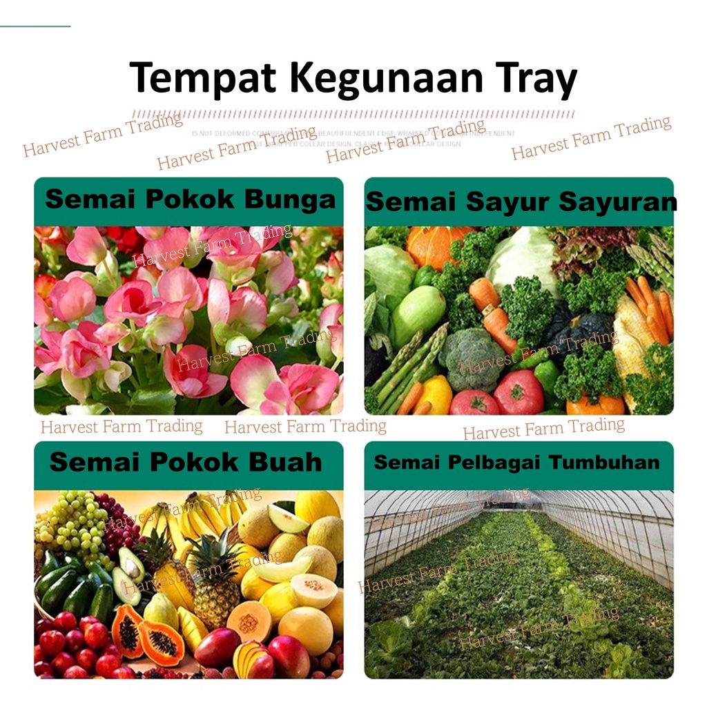 128 seedling tray tapak semaian benih 1pcs bekas semaian biji benih ...