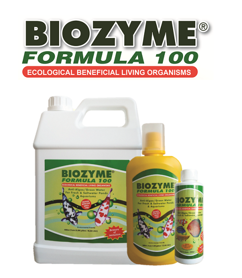 Biozyme Formula F100 1L (Anti-Algae / Green Water) (For Fresh ...