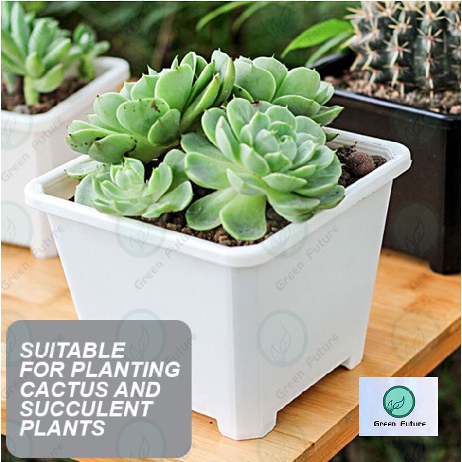 WHITE BLACK 万象盆 SUCCULENT CACTUS flower pot thick pot SQUARE PLASTIC ...