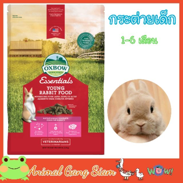 Oxbow Essentials-Young Rabbit Food Baby Age 1-6 (2.25 Kg.) | Shopee ...