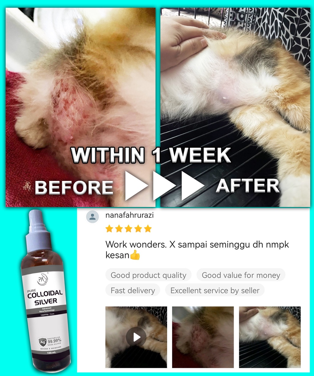 PA 100ppm Pure Colloidal Silver Advanced Nano Silver Pets Spray fungus ...