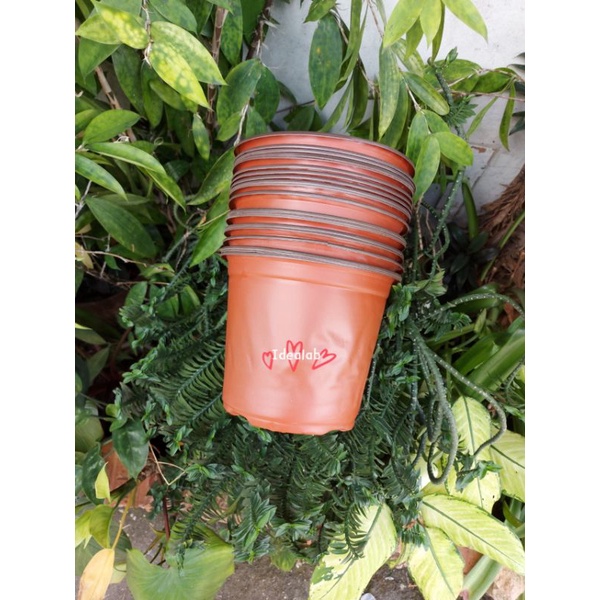 Pruning Pot #Pasu plastic lembut (Saiz 16cm) | Shopee Malaysia