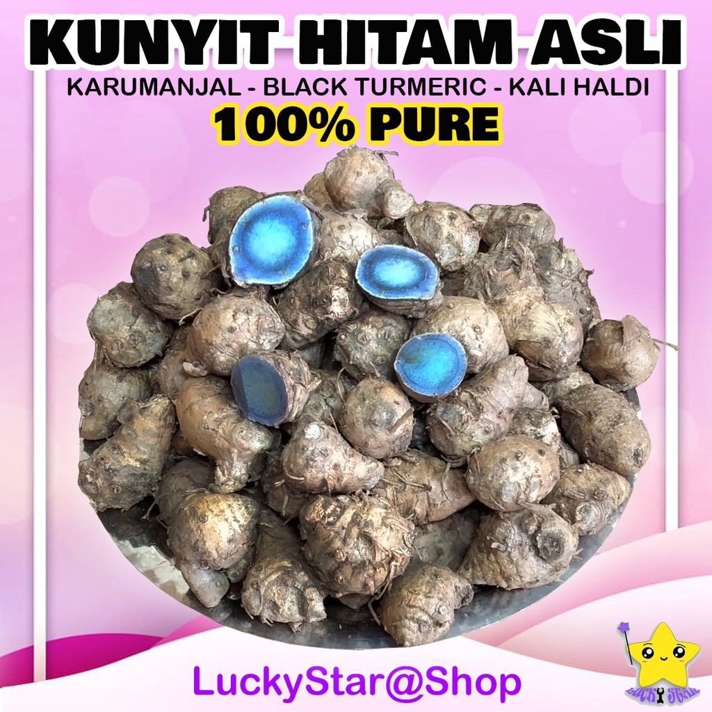 Karumanjal / Black turmeric / Kunyit hitam / Kali haldi - 100% PURE ...