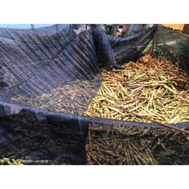 30 METRE JARING HITAM PENEDUH / SHADE NET / PARANET / JARING PENEDUH ...