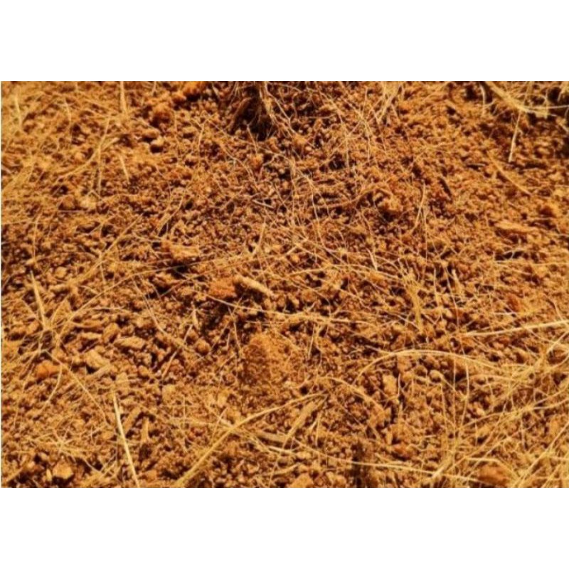 COCOPEAT/SABUT KELAPA HALUS (Repacking 1kg) Kualiti Terbaik Dijamin 💯 ...