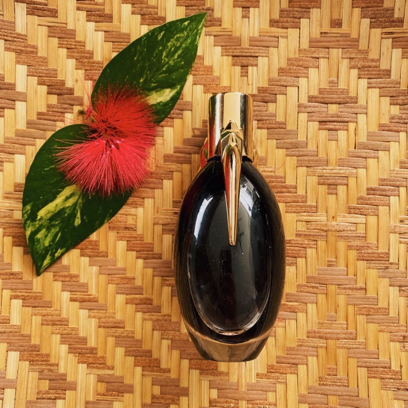 ORIGINAL DECANT Lady Gaga Fame (5ML) Travel Spray (BLACK JUICE ...