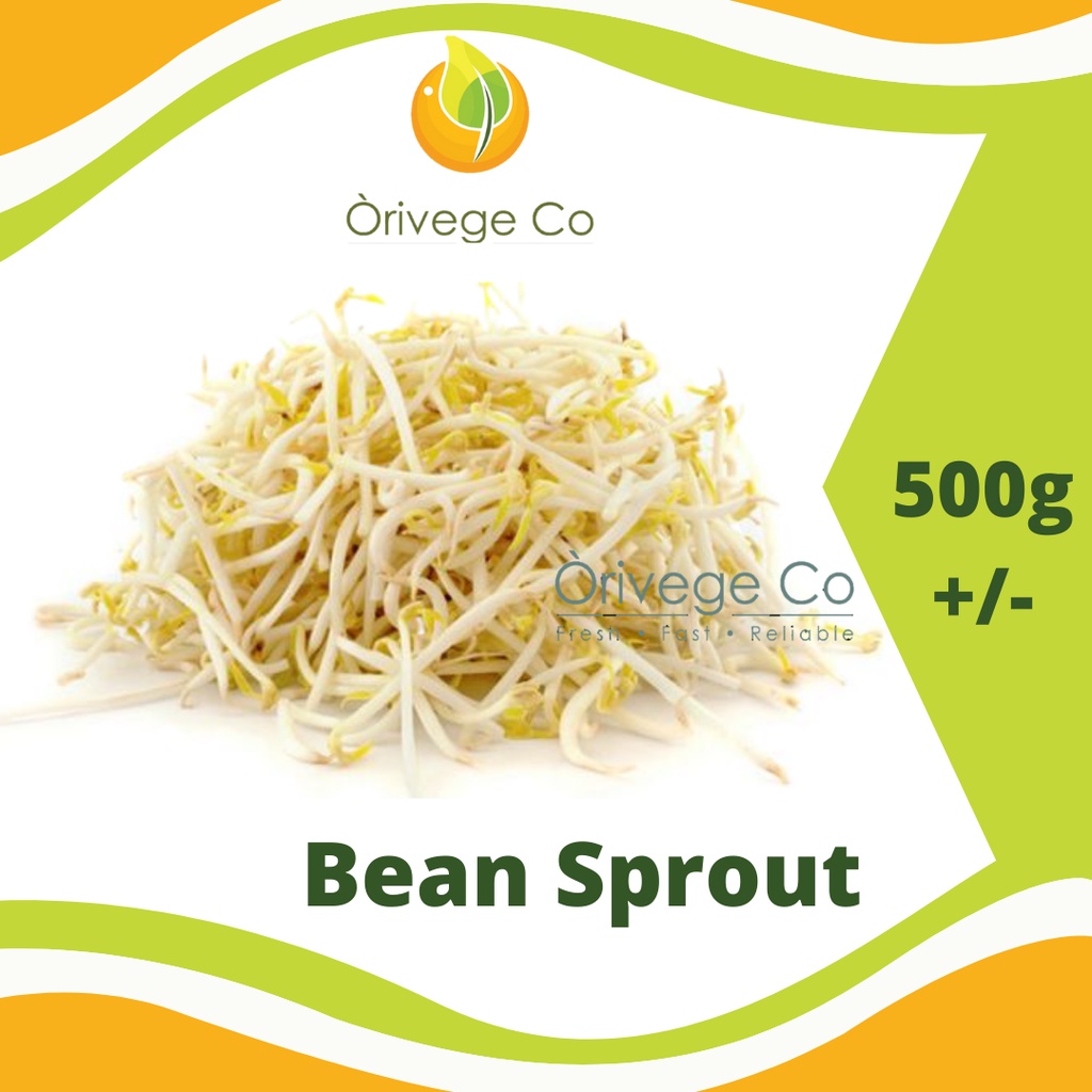 Bean Sprout / Tauge / 豆芽 -1pkt (500g) 【Orivege Co】Fresh Vegetables ...