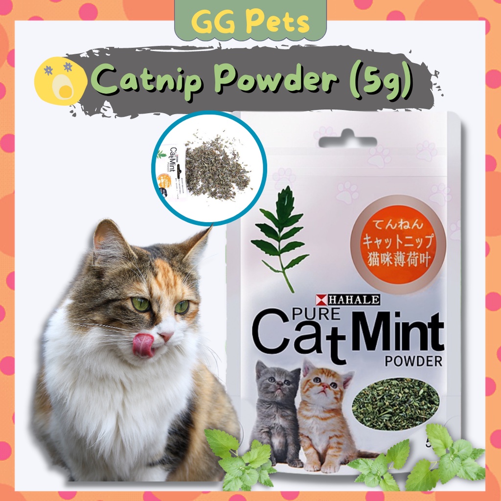 Catnip 5g Cat Mint Cat Treat Pokok Galak Kucing Rumput Kucing Cat ...