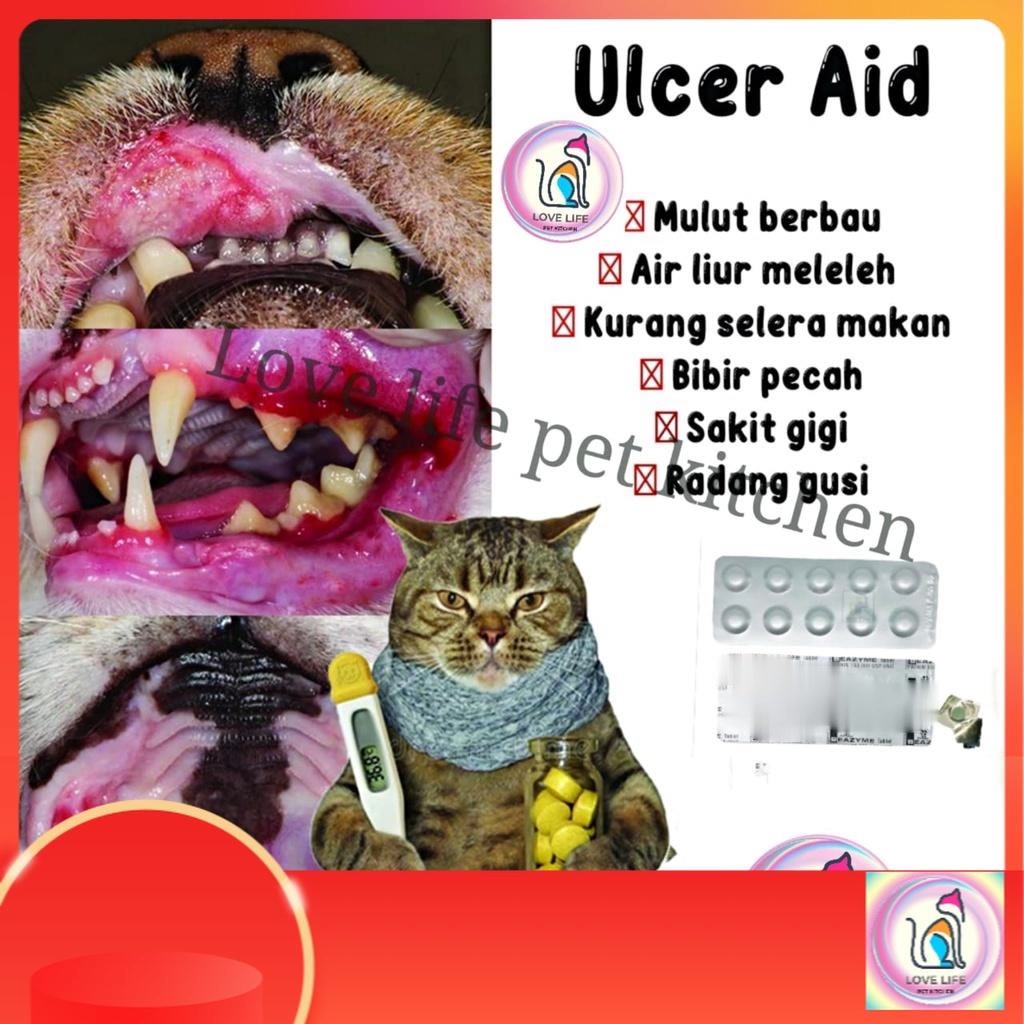 PALING BERKESAN 5 biji ubat ulcer AND multi emergency kit ulser mulut ...