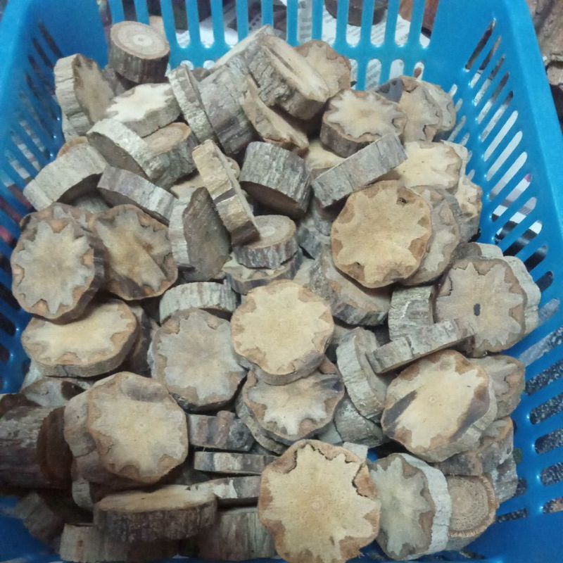 Kayu Pokok Larak Salah | Shopee Malaysia