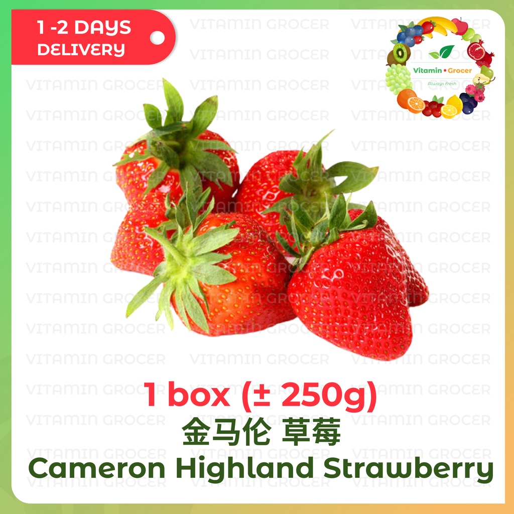 🔥FRESH FRUIT🔥 Cameron Highland Strawberry / 金马伦 草莓 (1 box ±250g ...