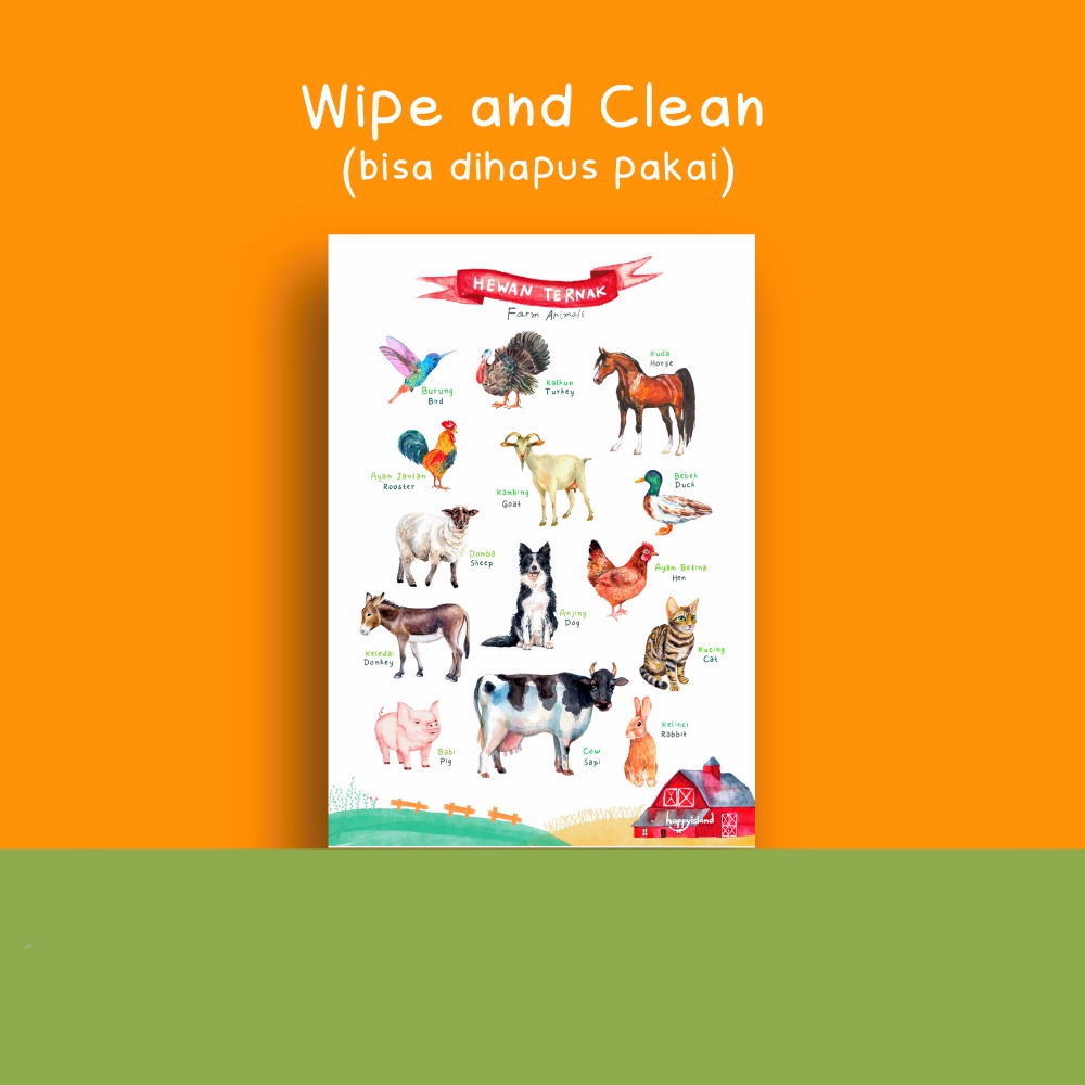 Wipe CLEAN Poster Aesthetic Children Education Toddler Paud - Animal ...