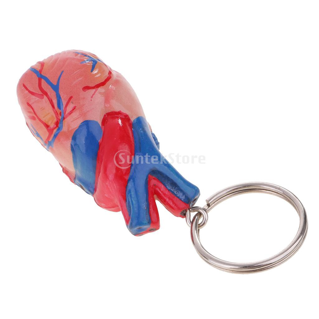 [FinevipsMY] Mini Human Heart Model Keychain Decoration Portable ...
