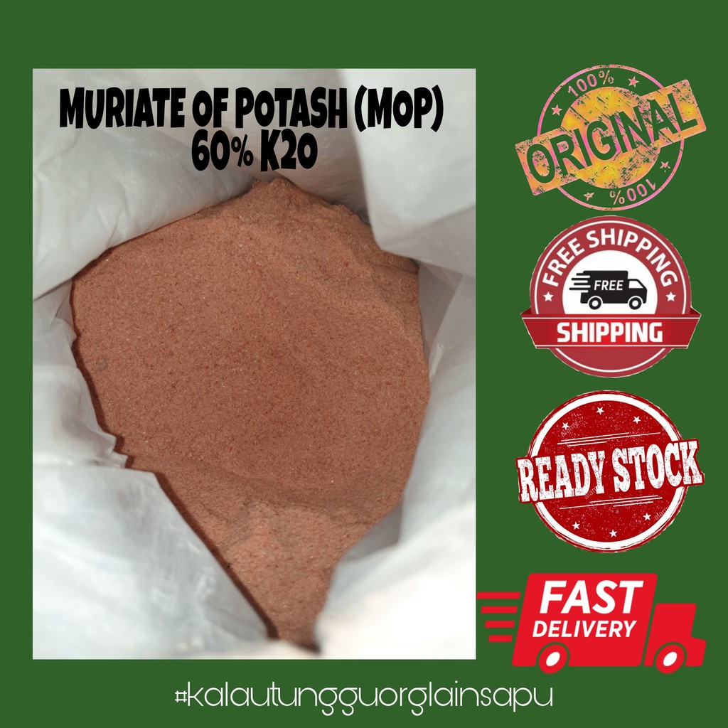 BAJA MOP MURIATE OF POTASH 60% K2O (Re-packed) POST SAME DAY FREE ...