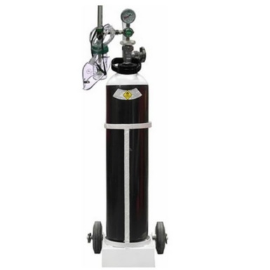 MEDICAL OXYGEN COMPRESSED GAS CYLINDER 10L (Incl.Med.Grade O2 Gas ...