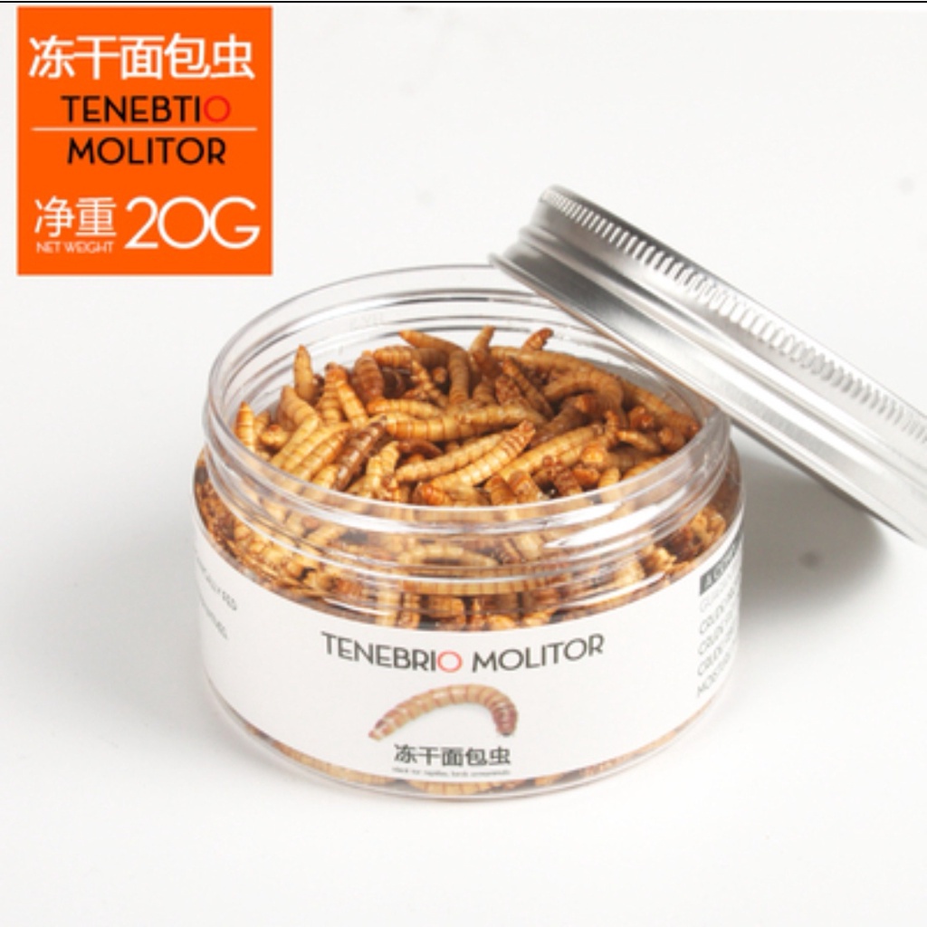 [PetlyMall] Dried Feeder Mealworm Locust Cricket Silkworm Pupa Protein ...