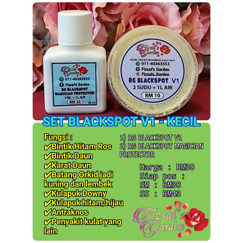SET BLACKSPOT V1 - KECIL Blackspot, bintik hitam, bintik mata katak ...