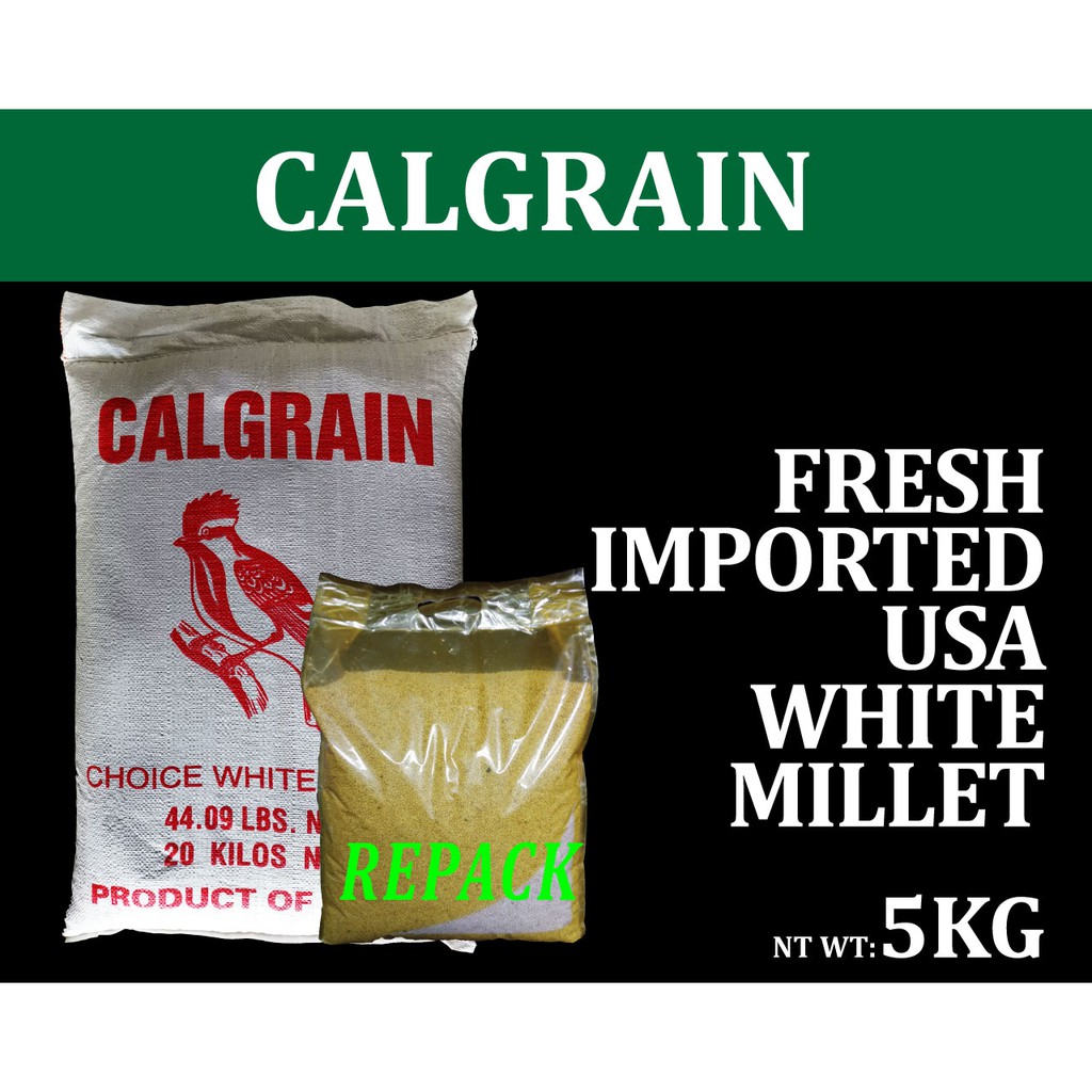 5KG MAKANAN BURUNG GAMBU PUTIH (USA WHITE MILLET BIRD SEED) | Shopee ...