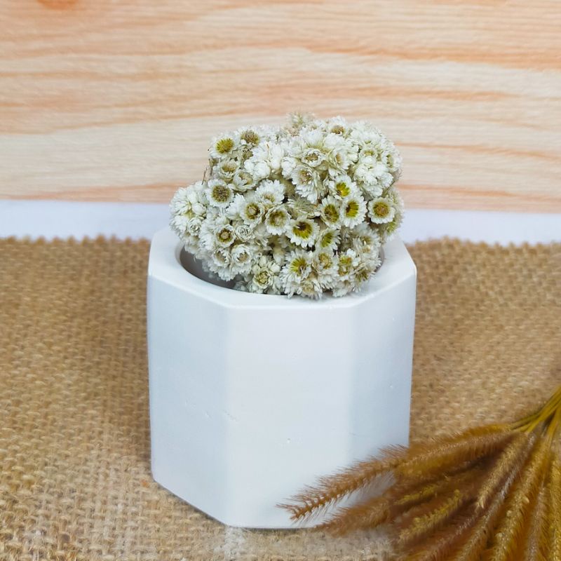 LILIN Mini cement Pot / candle container (includes box + bubble wrap ...