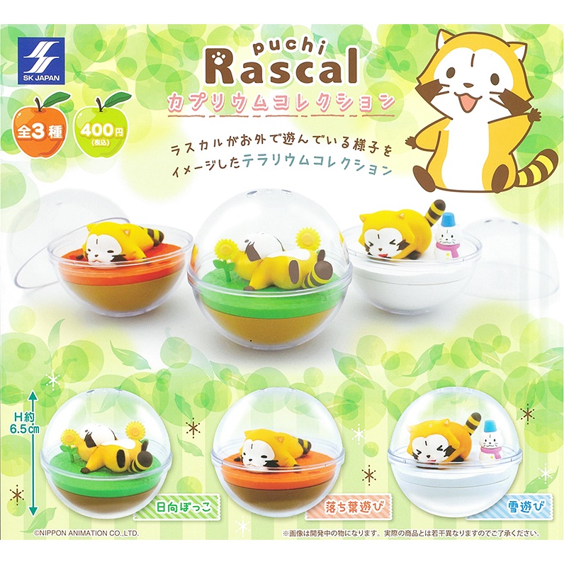 [SK JAPAN] CP0522 Rascal the Raccoon Couplium Collection - Cute Animal ...