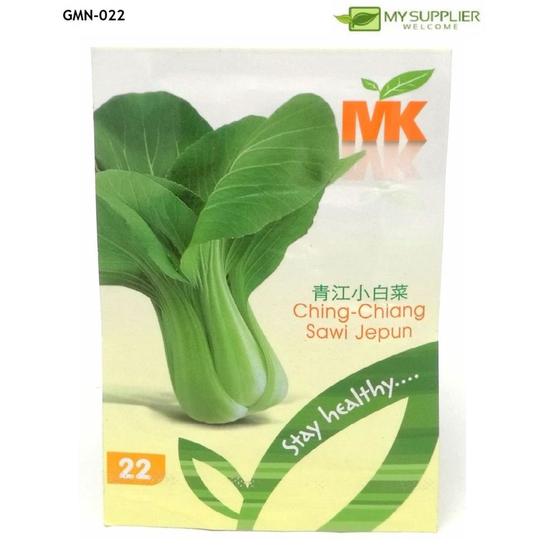 22 Japanese Mustard Bok Choy Seeds/Biji Benih Ching-Chiang Sawi Jepun ...