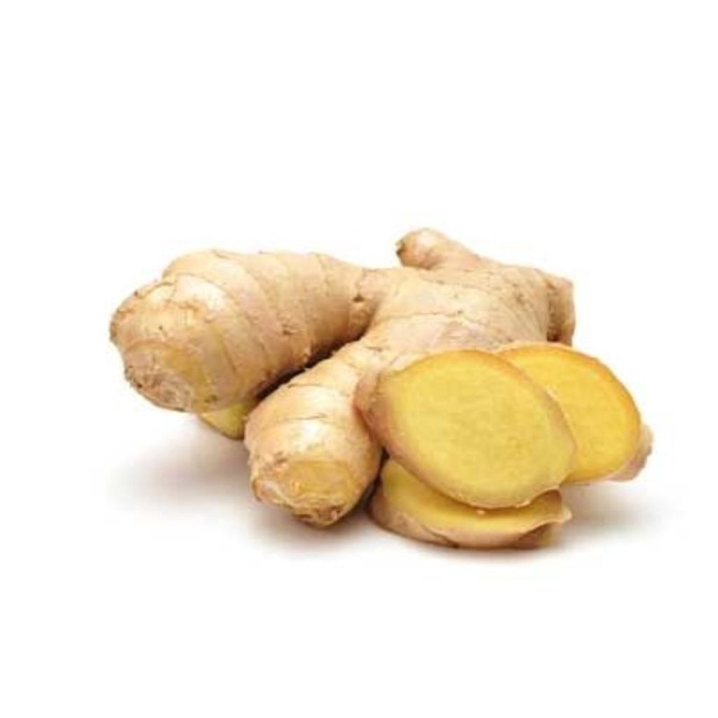 READY STOK HALIA SEGAR GINGER 100G | Shopee Malaysia