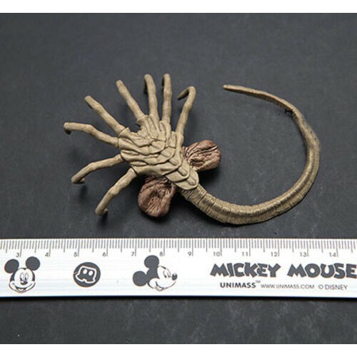 1:6 Alien Predator Prometheus Star Beast Facehugger Larva for 12 ...