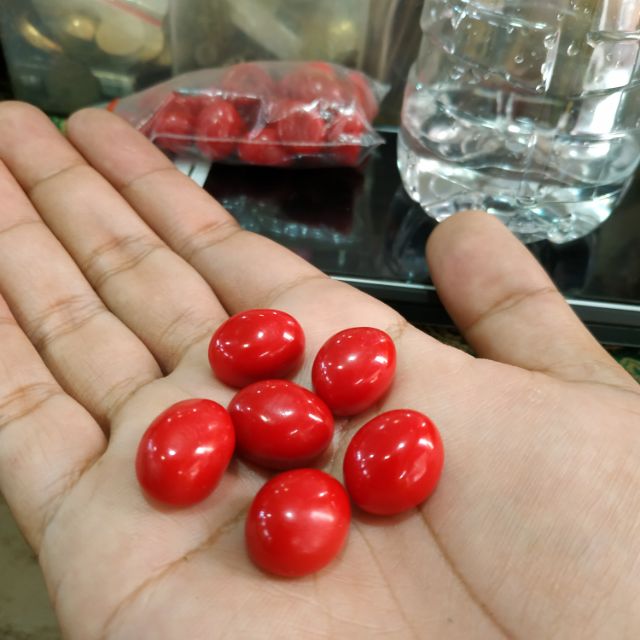 Delima Merah ( sintetik ) | Shopee Malaysia