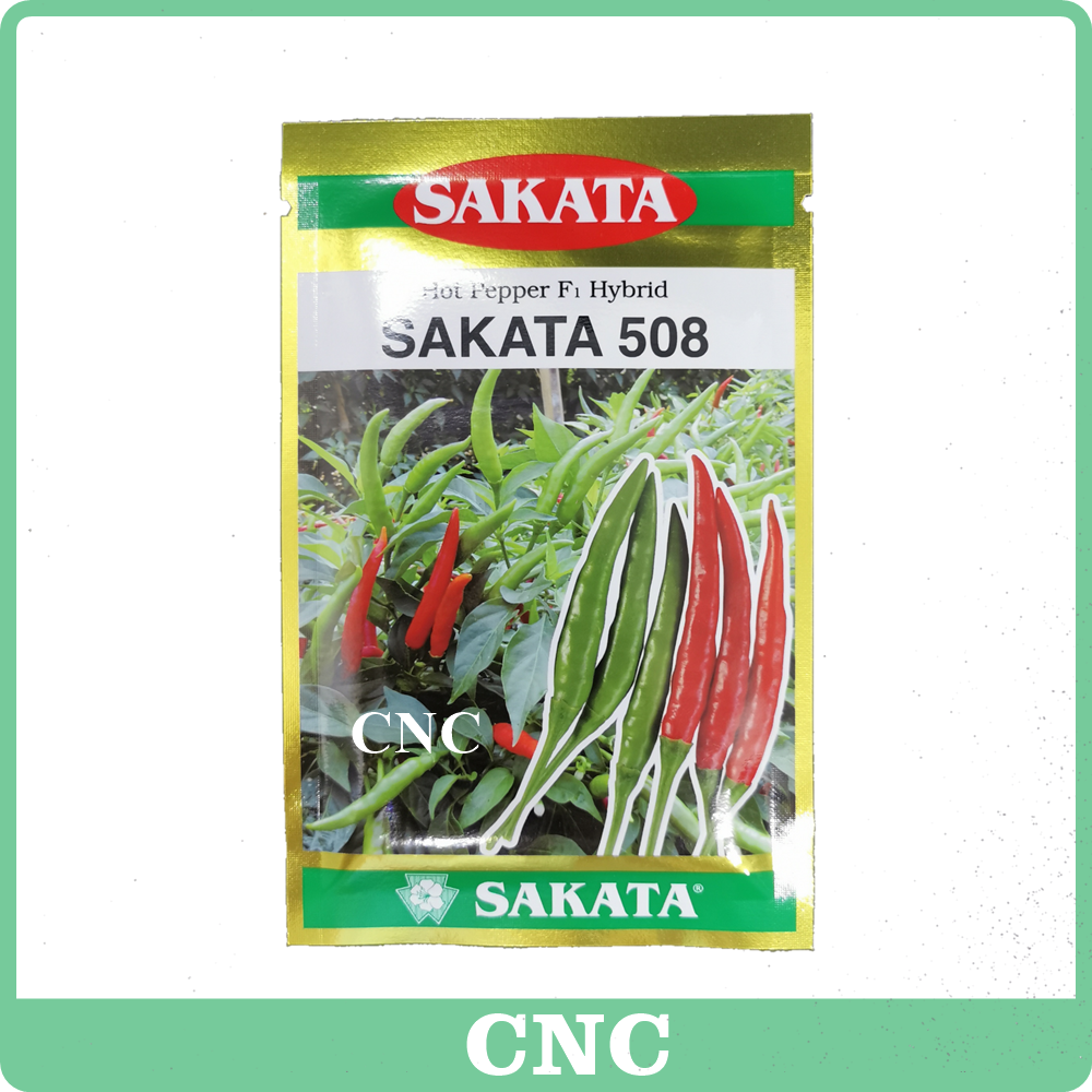 5GM Sakata 508 Benih Cili Padi Hot Pepper F1 Hybrid Chilli Cili Api ...