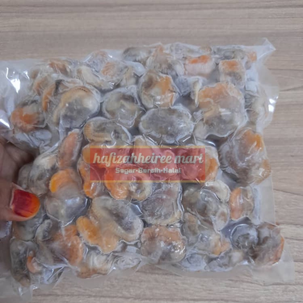 🔥Penang Delivery🔥HALAL Isi Kerang /Kerang Frozen/Isi Kerang Frozen ...