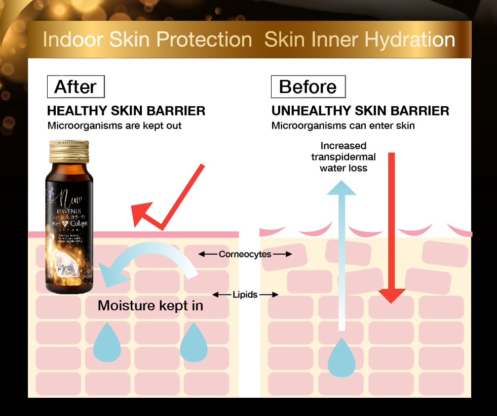 Nano Jewel Collagen Anti-UV Collagen Locks Moisture Ceramide Coq10 ...