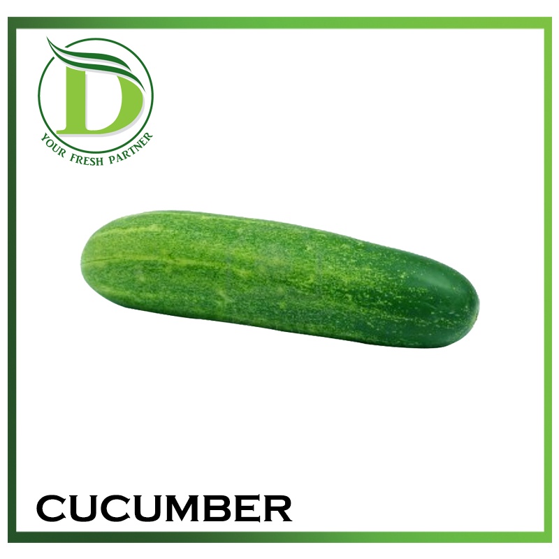 [BUTTERWORTH] Local Cucumber - Per 1kg+/- | Shopee Malaysia