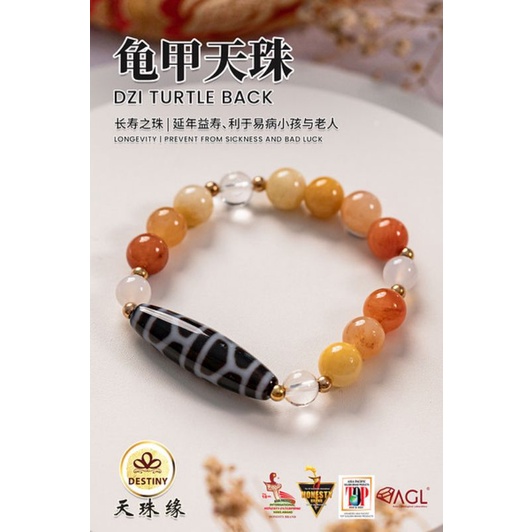 DZI DESTINY 天珠缘｜龟甲天珠系列｜健康守护 • 延年益寿 • 气场稳固｜Turtle Back Dzi Bracelet ...