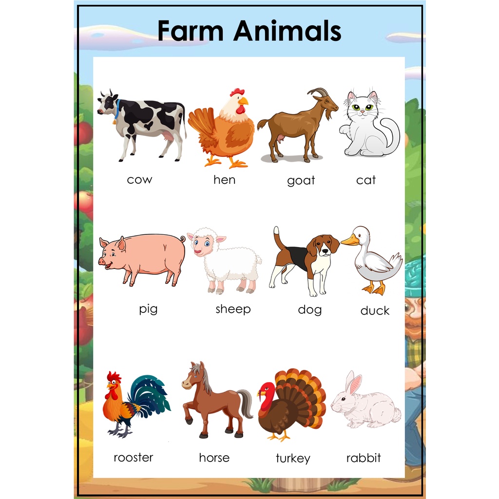 A4 Laminated Farm Animals Educational Chart for Kids | Shopee Malaysia