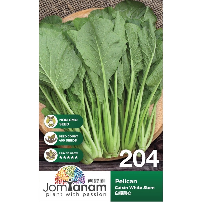 🔥🔥BIG SALES🔥🔥 Caixin White Stem Pelican (400sds）白梗菜心 Jom Tanam by Crop ...