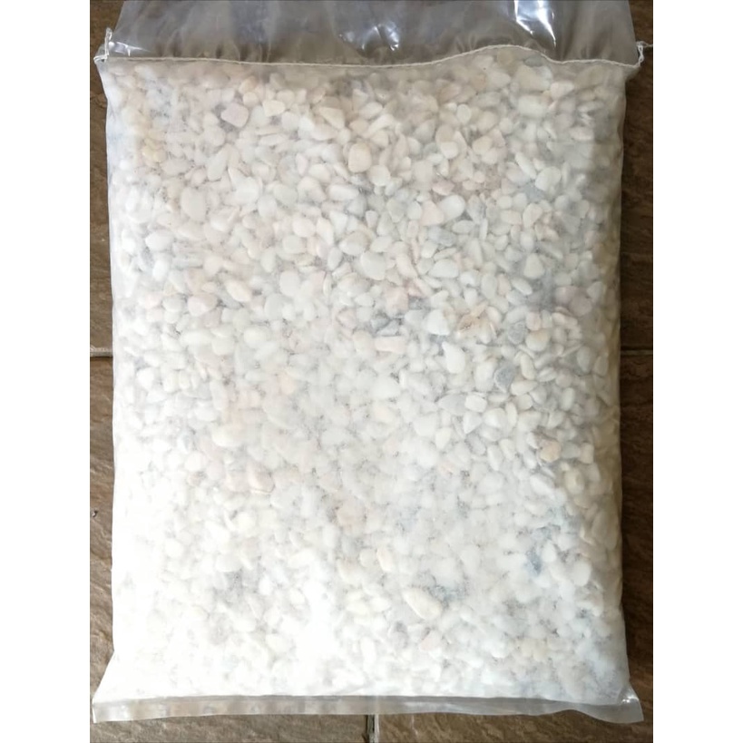 Aquarium White Stone Pebble 10kg Fish Pond Batu Putih Akuarium Ikan ...