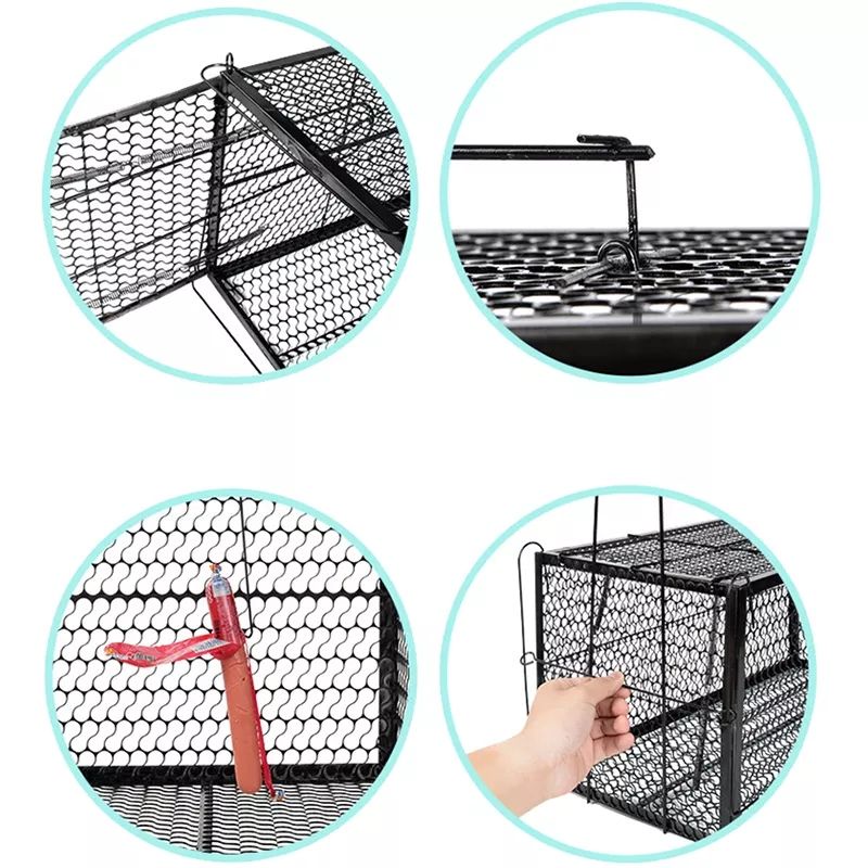 Perangkap kucing / Cat Trap / Sangkar Big Cage / Sangkar Besar | Shopee ...